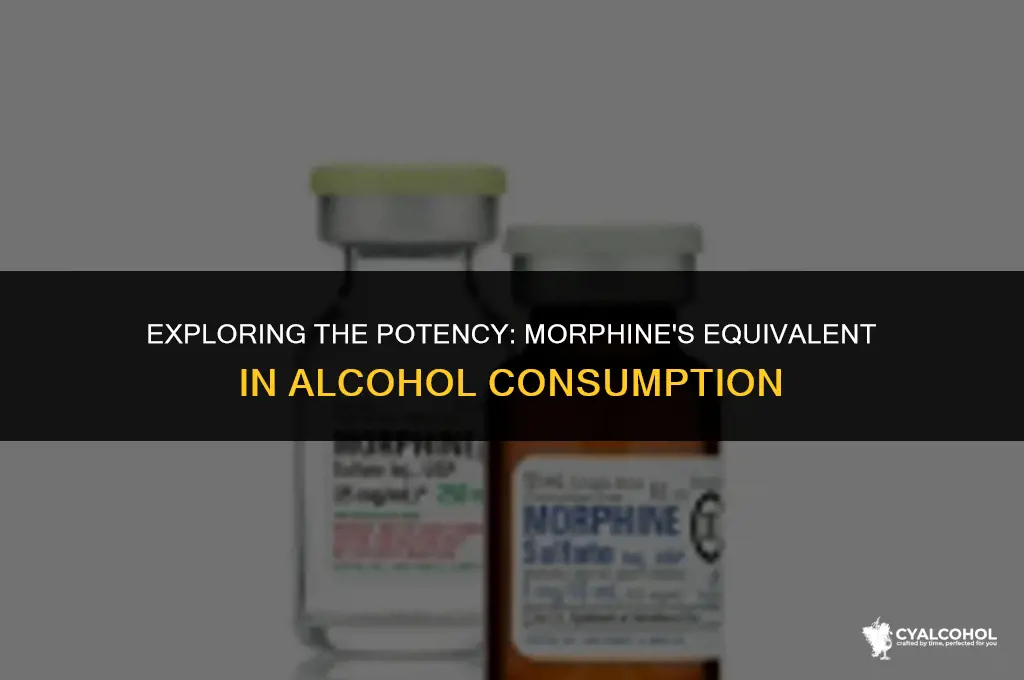 Exploring The Potency: Morphine's Equivalent In Alcohol Consumption ...