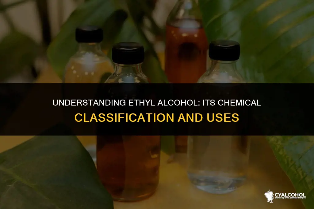Understanding Ethyl Alcohol: Its Chemical Classification And Uses ...