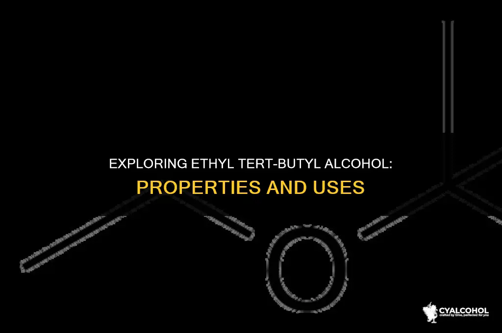 Exploring Ethyl Tert-Butyl Alcohol: Properties And Uses | CyAlcohol