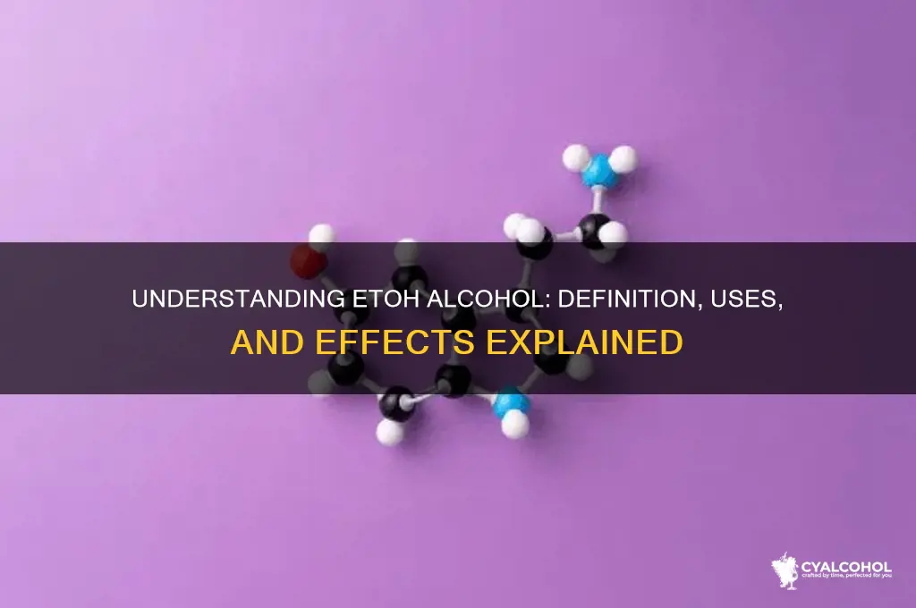 Understanding Etoh Alcohol: Definition, Uses, And Effects Explained ...