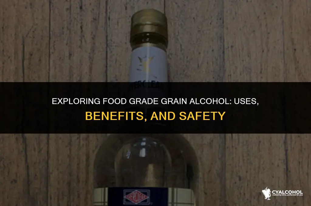 Exploring Food Grade Grain Alcohol: Uses, Benefits, And Safety | CyAlcohol