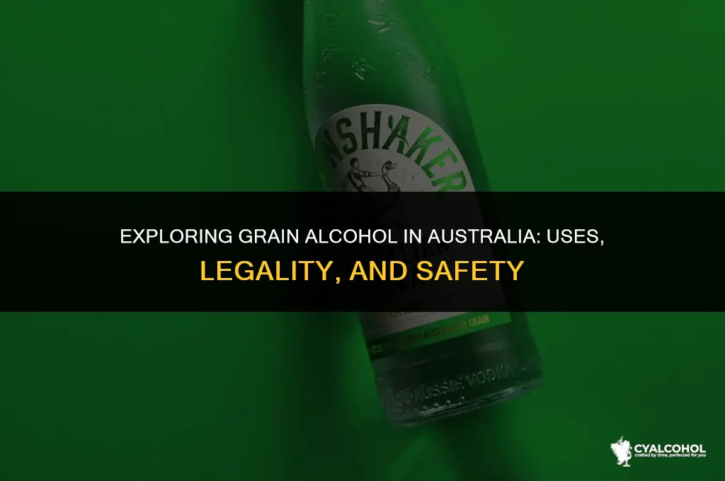 Exploring Grain Alcohol In Australia: Uses, Legality, And Safety ...