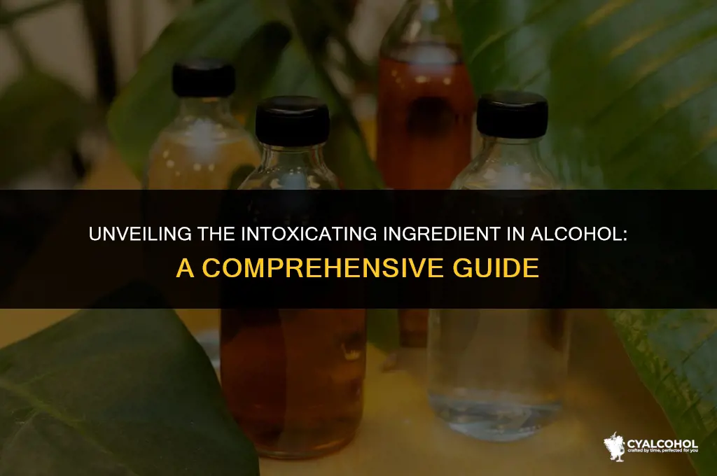 Unveiling The Intoxicating Ingredient In Alcohol: A Comprehensive Guide ...