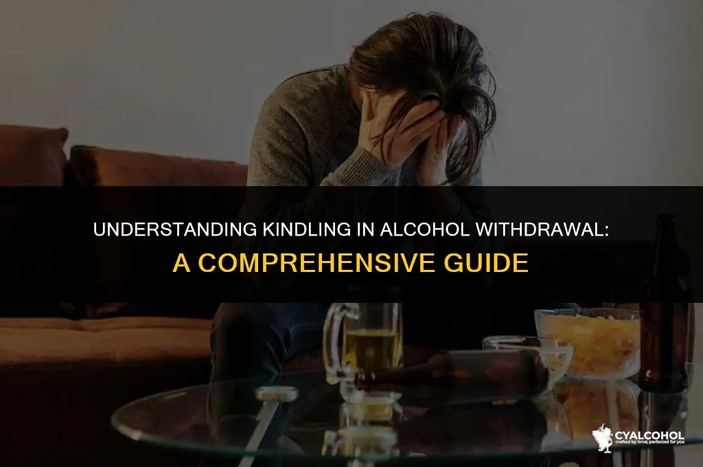 Understanding Kindling In Alcohol Withdrawal: A Comprehensive Guide ...