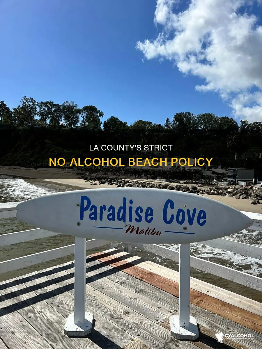 La County's Strict No-Alcohol Beach Policy | CyAlcohol