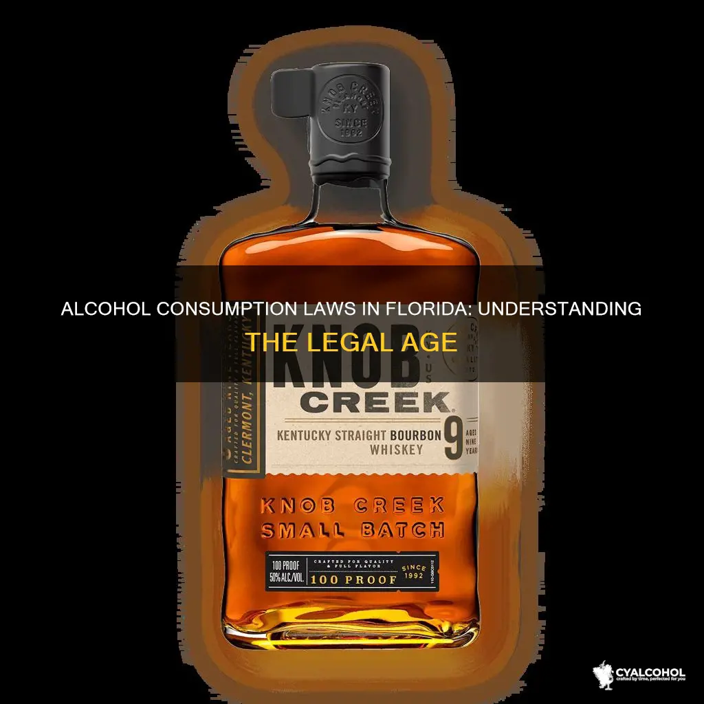 Alcohol Consumption Laws In Florida: Understanding The Legal Age ...