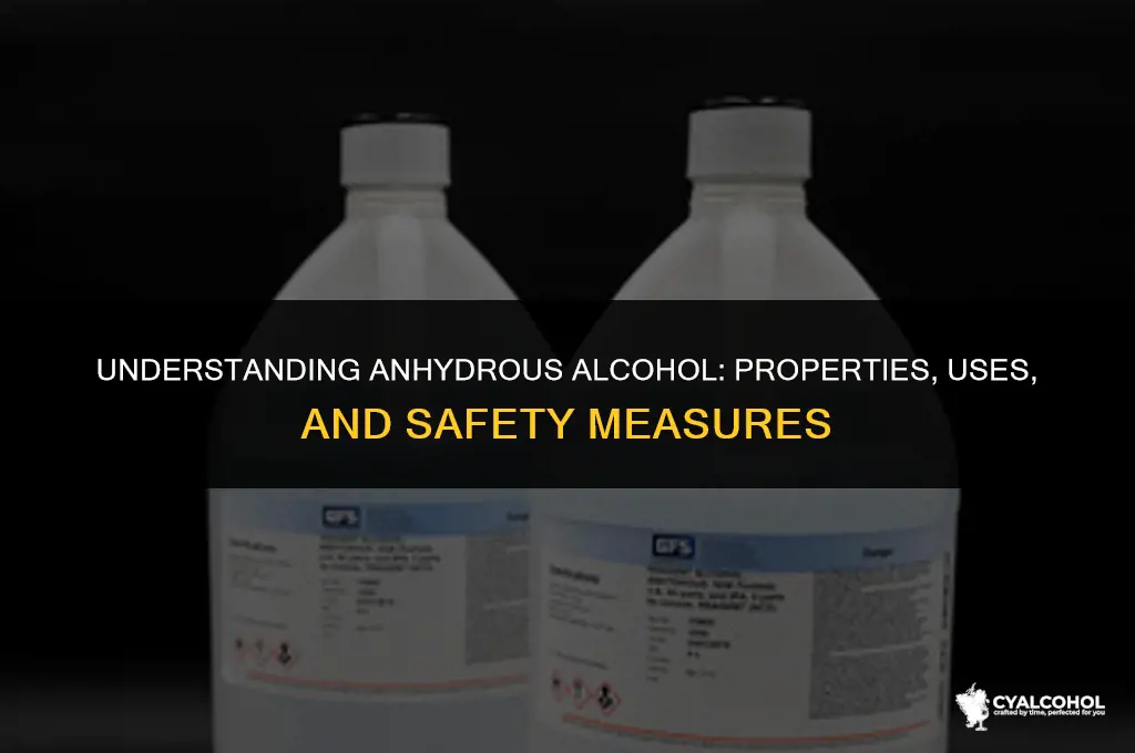 Understanding Anhydrous Alcohol: Properties, Uses, And Safety Measures ...
