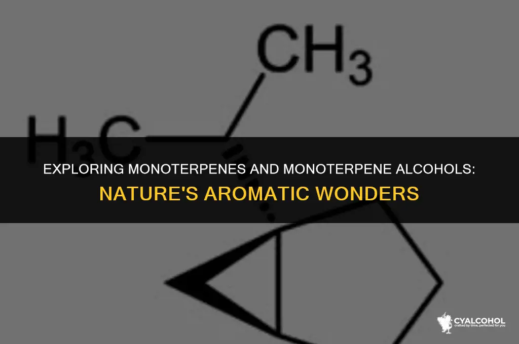 Exploring Monoterpenes And Monoterpene Alcohols: Nature's Aromatic ...