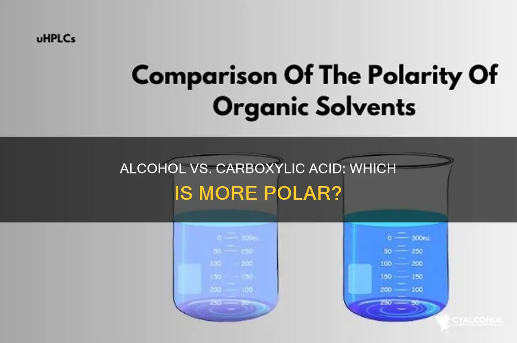 Alcohol Vs. Carboxylic Acid: Which Is More Polar? | CyAlcohol