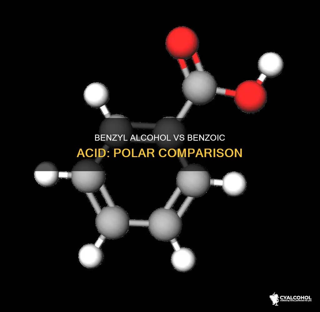 Benzyl Alcohol Vs Benzoic Acid: Polar Comparison | CyAlcohol