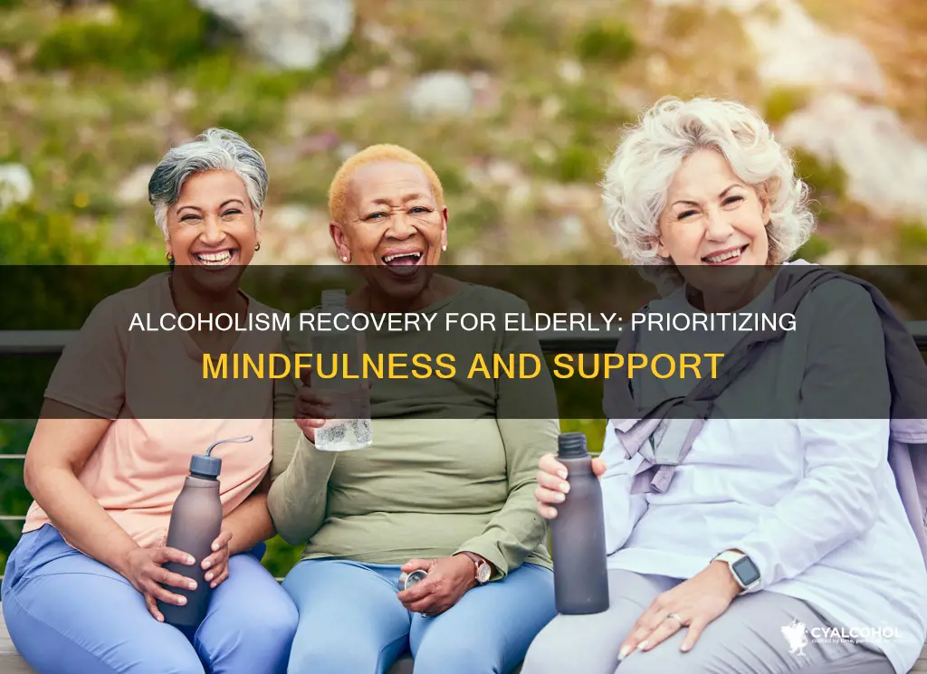 Alcoholism Recovery For Elderly: Prioritizing Mindfulness And Support ...