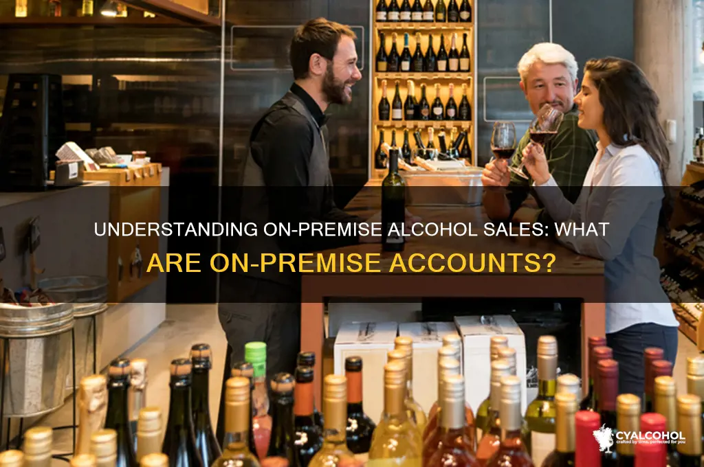 Understanding On-Premise Alcohol Sales: What Are On-Premise Accounts ...