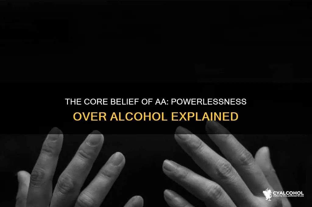 The Core Belief Of Aa: Powerlessness Over Alcohol Explained | CyAlcohol