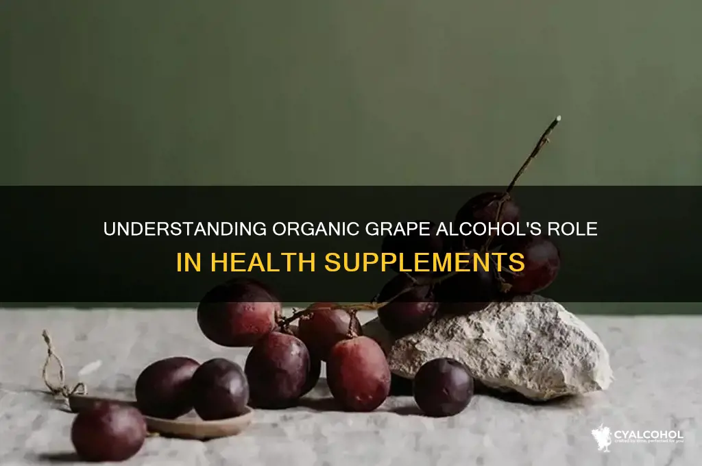 Understanding Organic Grape Alcohol's Role In Health Supplements ...