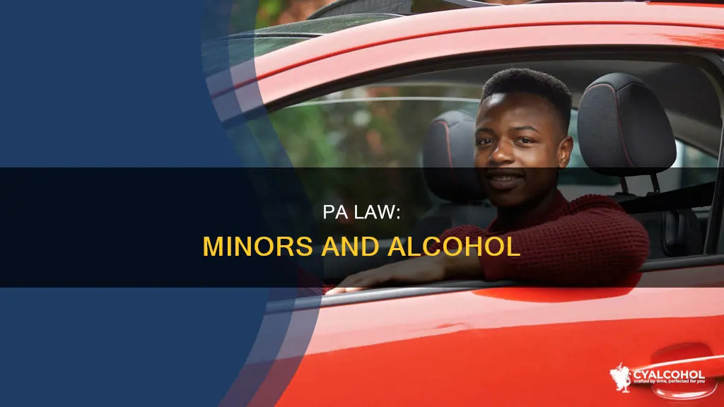 Pa Law: Minors And Alcohol | CyAlcohol
