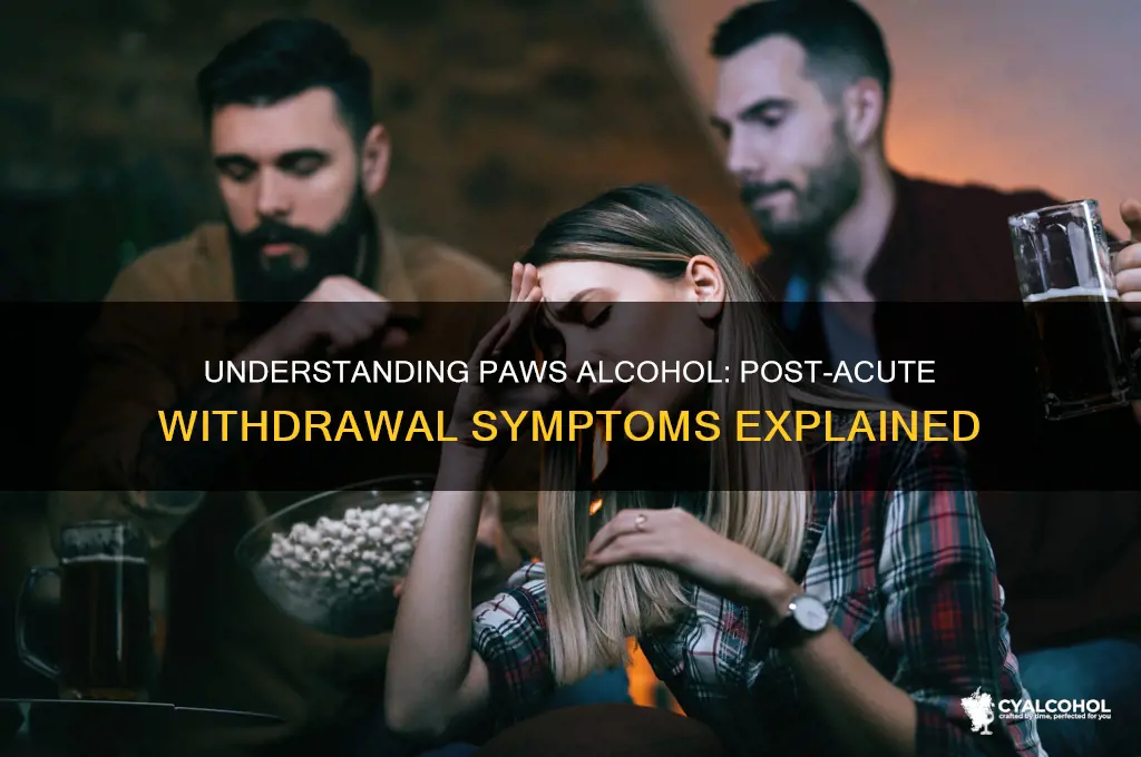 Understanding Paws Alcohol: Post-Acute Withdrawal Symptoms Explained ...