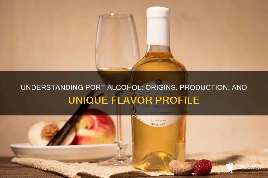 Understanding Port Alcohol: Origins, Production, And Unique Flavor ...