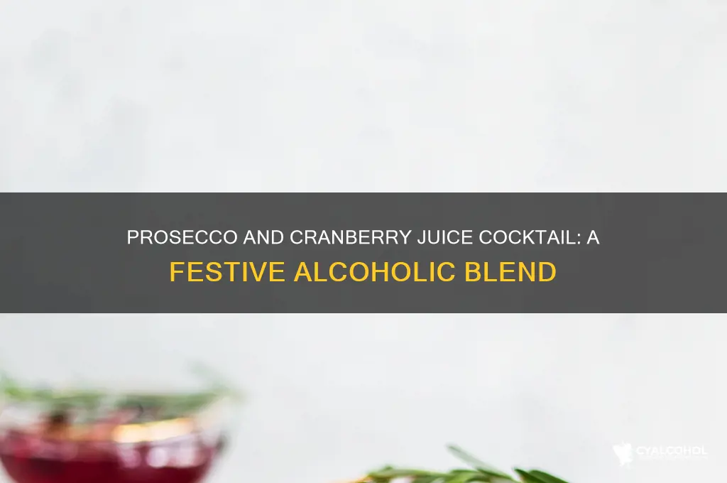 Prosecco And Cranberry Juice Cocktail: A Festive Alcoholic Blend ...