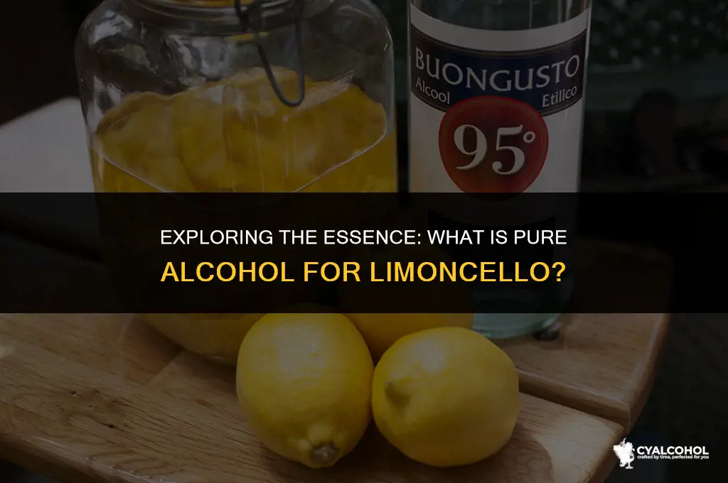 Exploring The Essence: What Is Pure Alcohol For Limoncello? | CyAlcohol