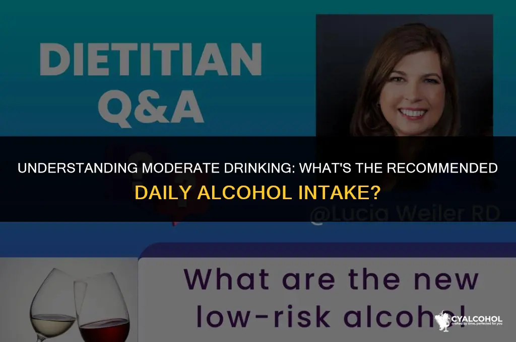 Understanding Moderate Drinking: What's The Recommended Daily Alcohol ...