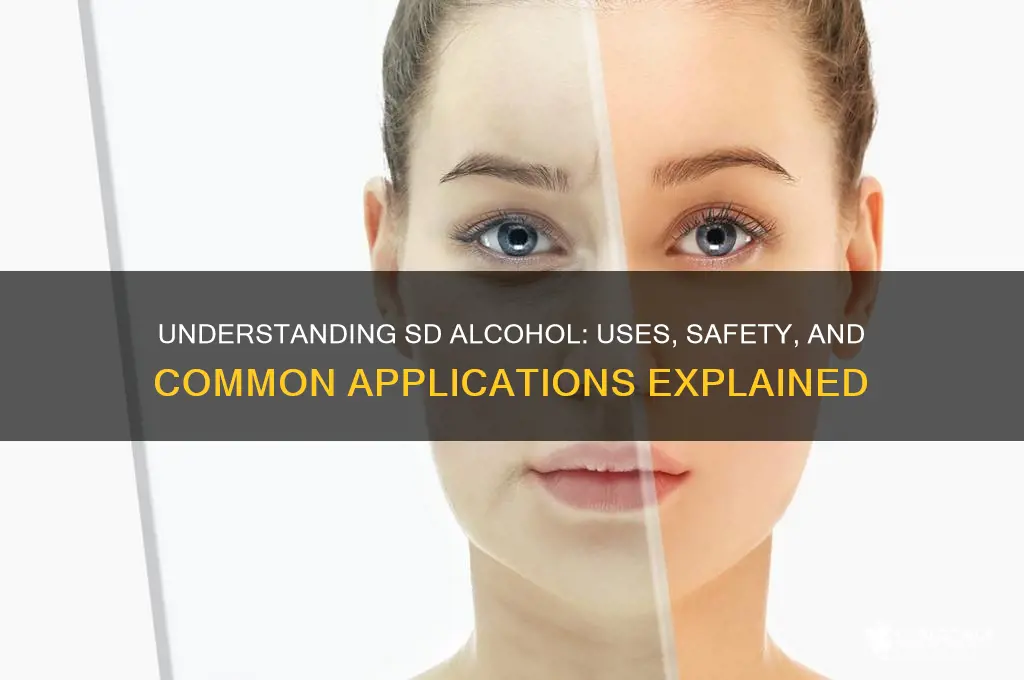 Understanding Sd Alcohol: Uses, Safety, And Common Applications ...