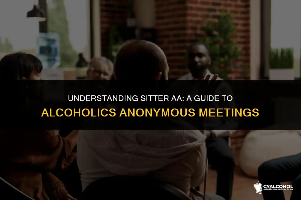 Understanding Sitter Aa: A Guide To Alcoholics Anonymous Meetings ...