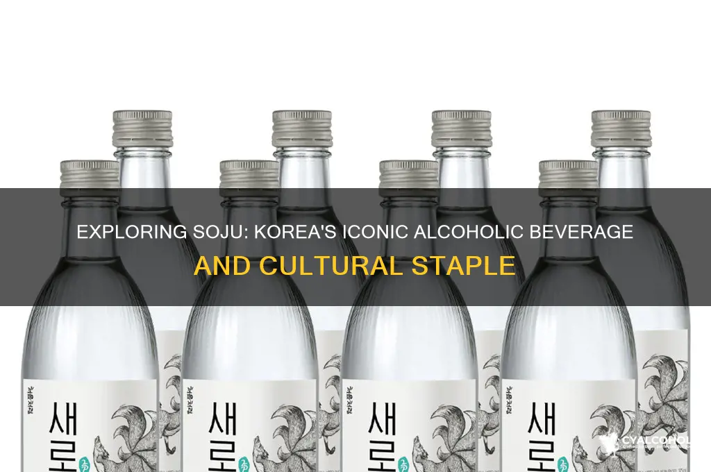 Exploring Soju: Korea's Iconic Alcoholic Beverage And Cultural Staple ...