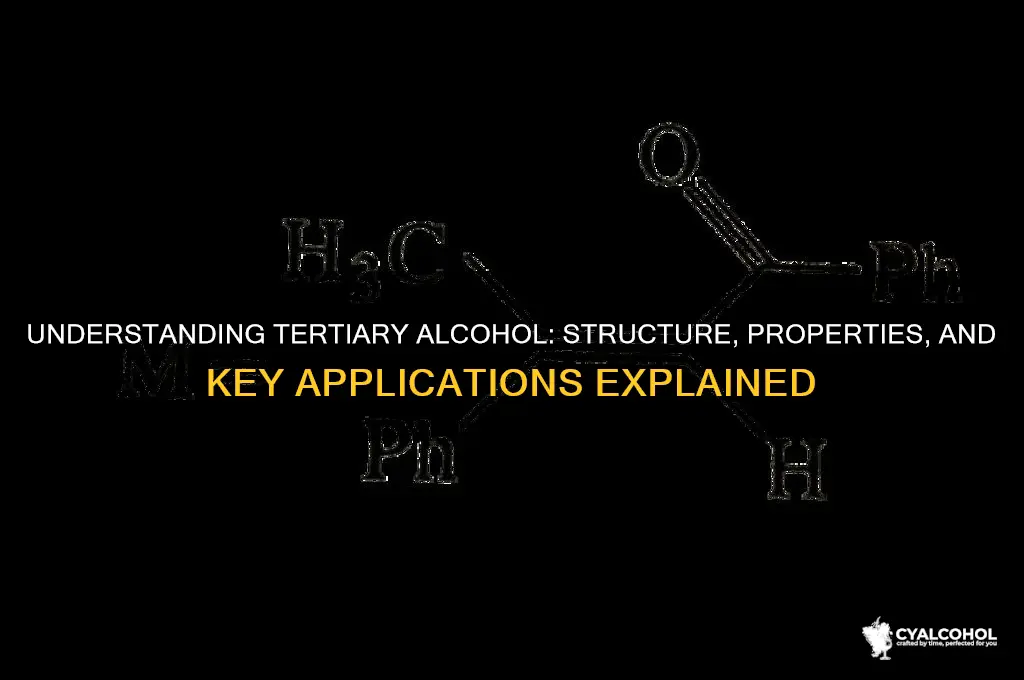 Understanding Tertiary Alcohol: Structure, Properties, And Key ...