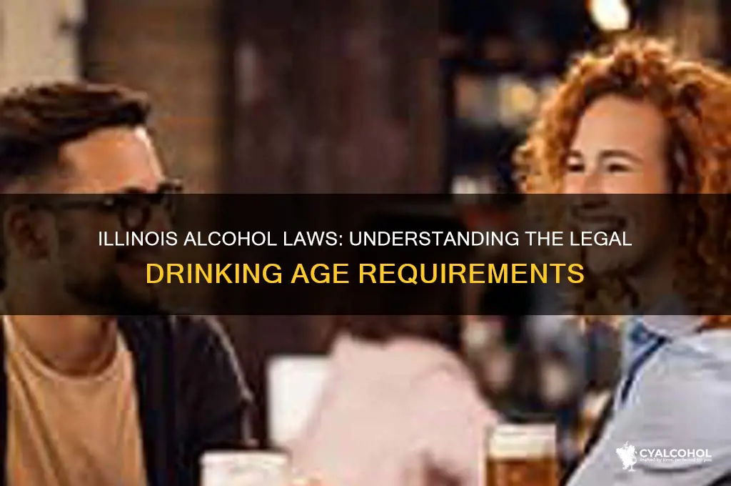 Illinois Alcohol Laws: Understanding The Legal Drinking Age ...