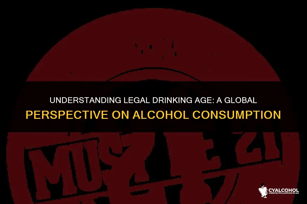 Understanding Legal Drinking Age: A Global Perspective On Alcohol ...