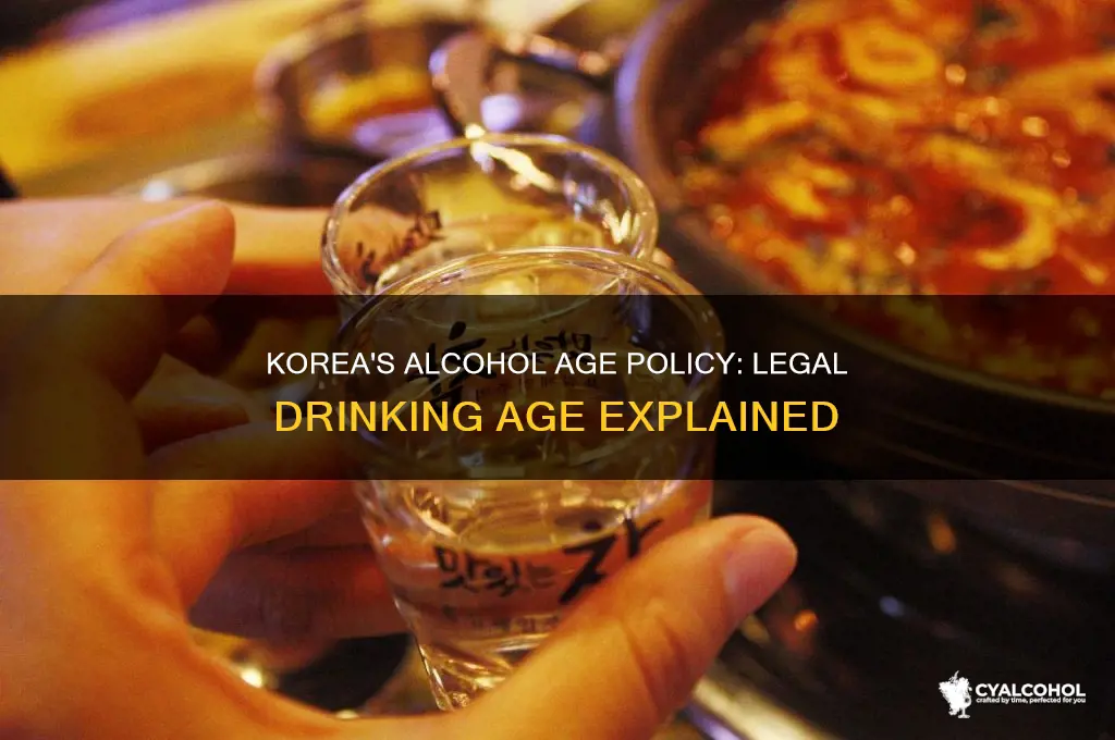 Korea's Alcohol Age Policy: Legal Drinking Age Explained | CyAlcohol