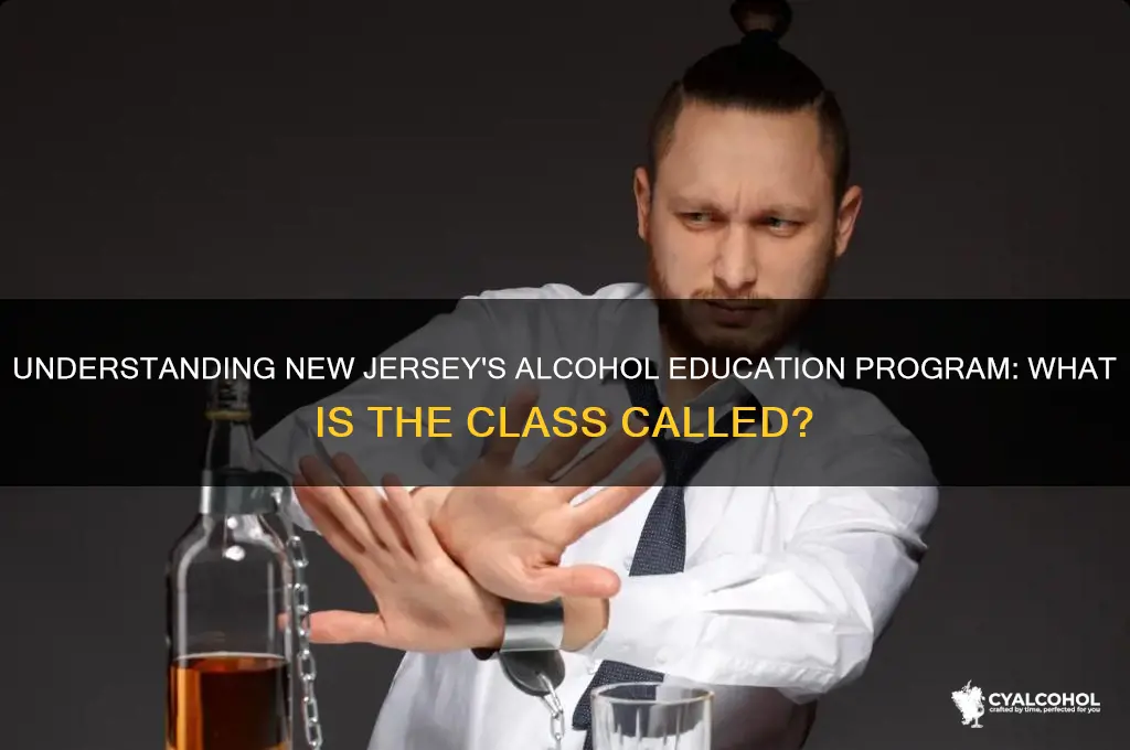 Understanding New Jersey's Alcohol Education Program: What Is The Class ...