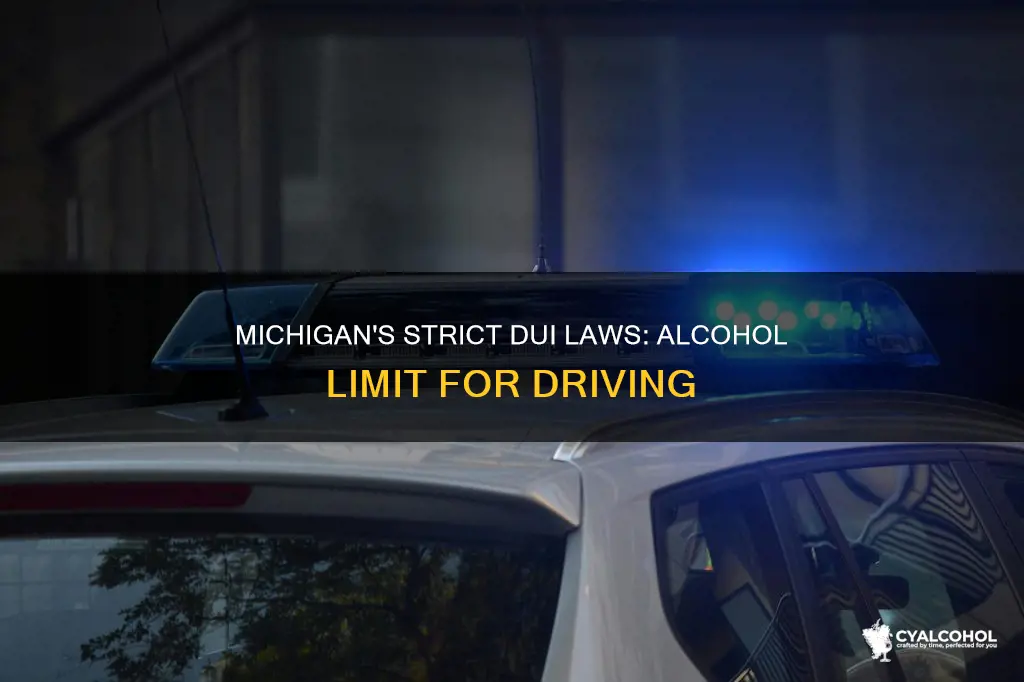 Michigan's Strict Dui Laws: Alcohol Limit For Driving | CyAlcohol