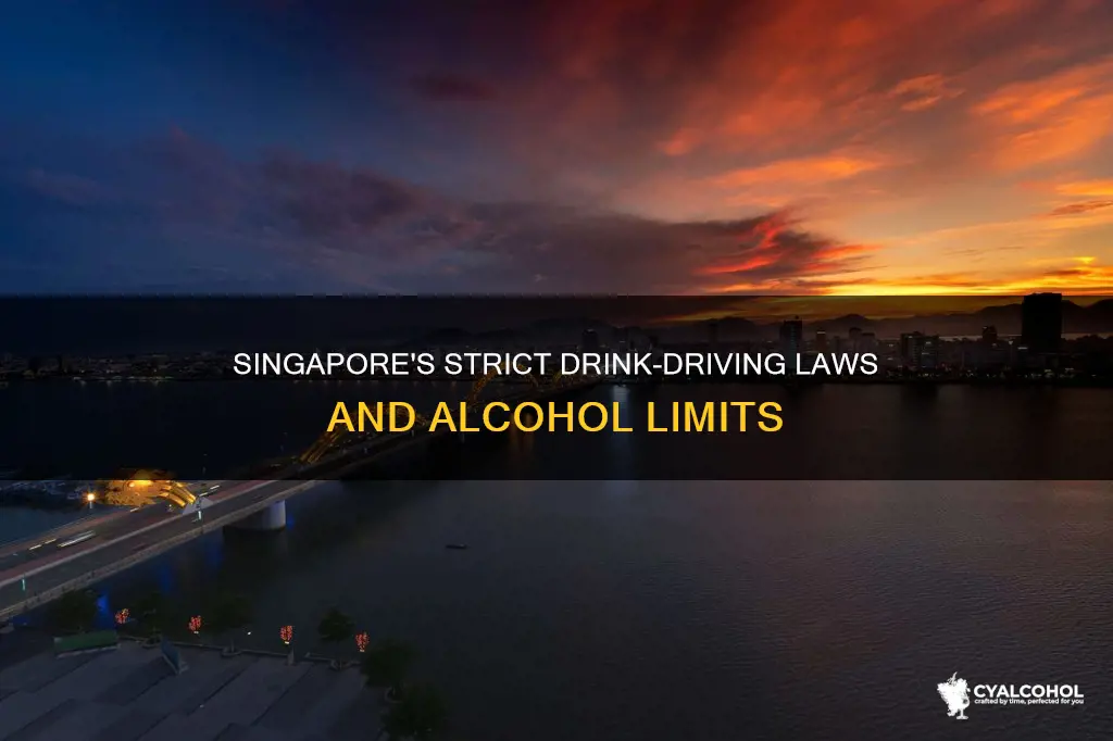 Singapore's Strict Drink-Driving Laws And Alcohol Limits | CyAlcohol