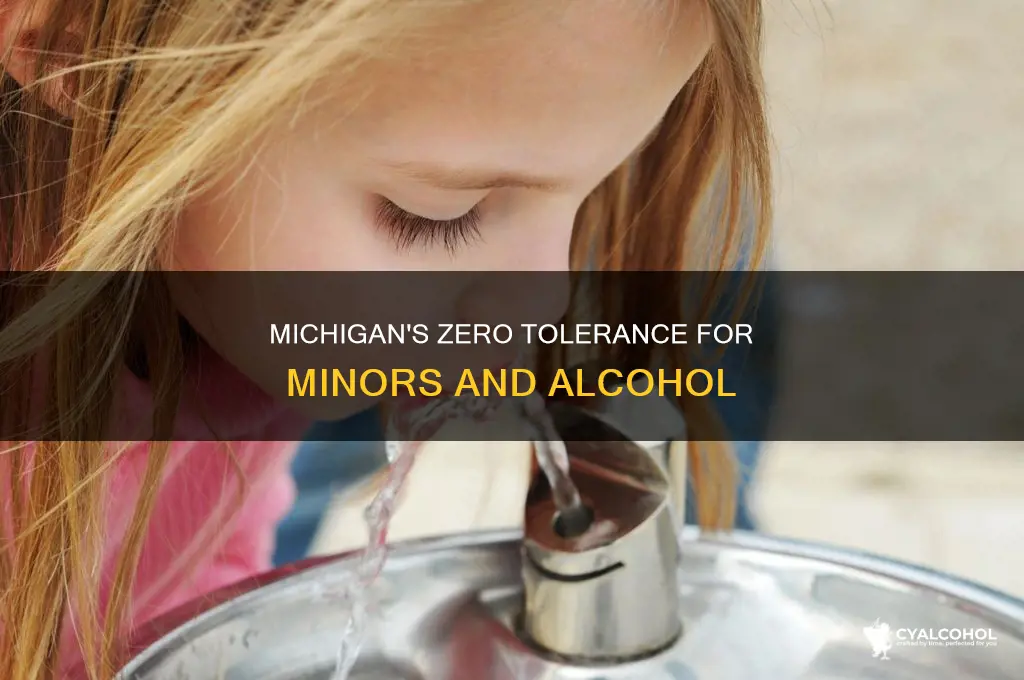 Michigan's Zero Tolerance For Minors And Alcohol | CyAlcohol