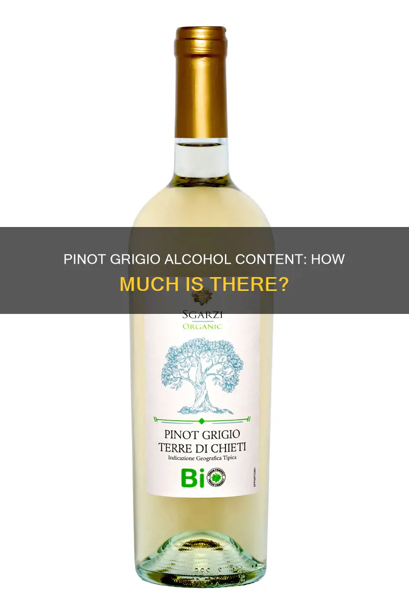 Pinot Grigio Alcohol Content: How Much Is There? | CyAlcohol