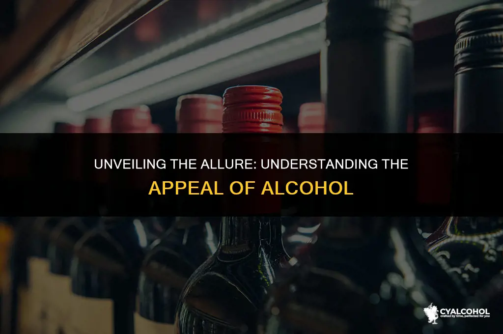 Unveiling The Allure: Understanding The Appeal Of Alcohol | CyAlcohol