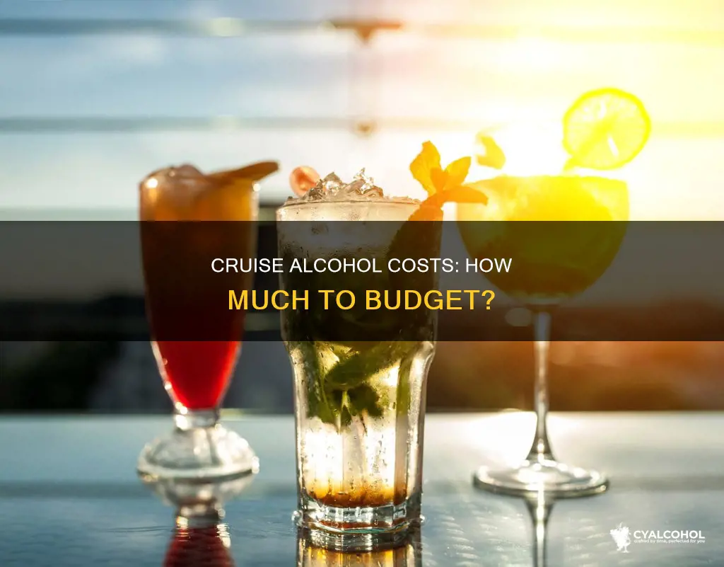 Cruise Alcohol Costs: How Much To Budget? | CyAlcohol