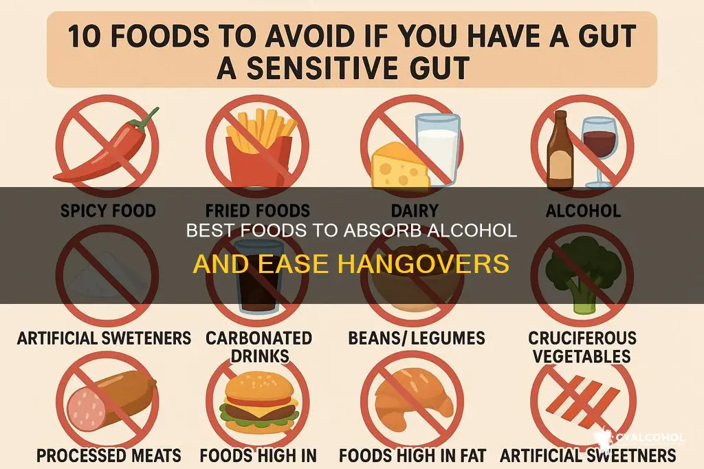 Best Foods To Absorb Alcohol And Ease Hangovers | CyAlcohol