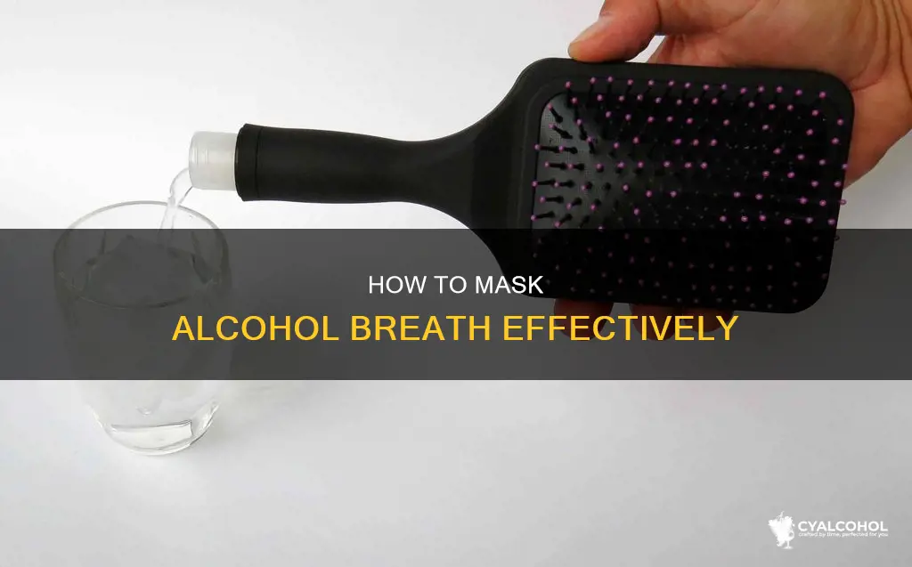 How To Mask Alcohol Breath Effectively | CyAlcohol