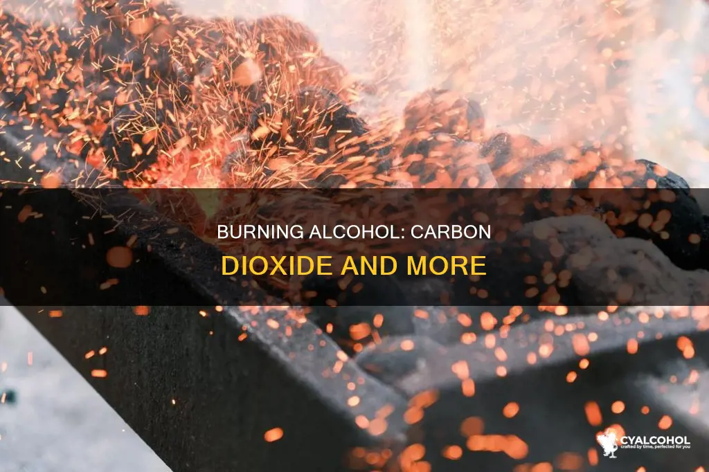 Burning Alcohol: Carbon Dioxide And More | CyAlcohol