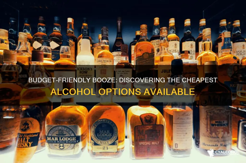 Budget-Friendly Booze: Discovering The Cheapest Alcohol Options ...
