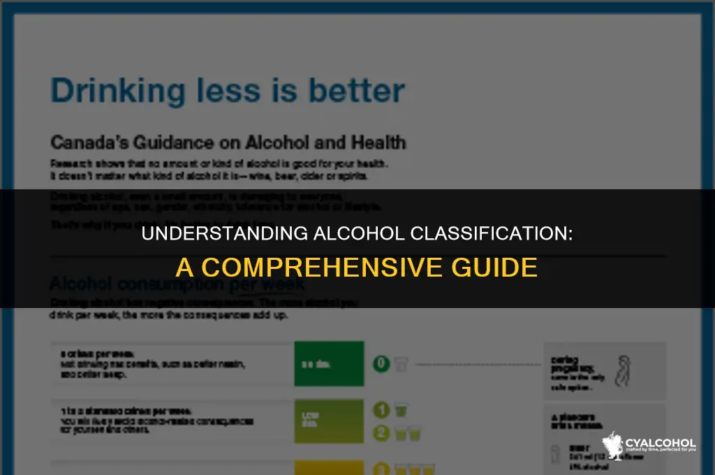 Understanding Alcohol Classification: A Comprehensive Guide | CyAlcohol
