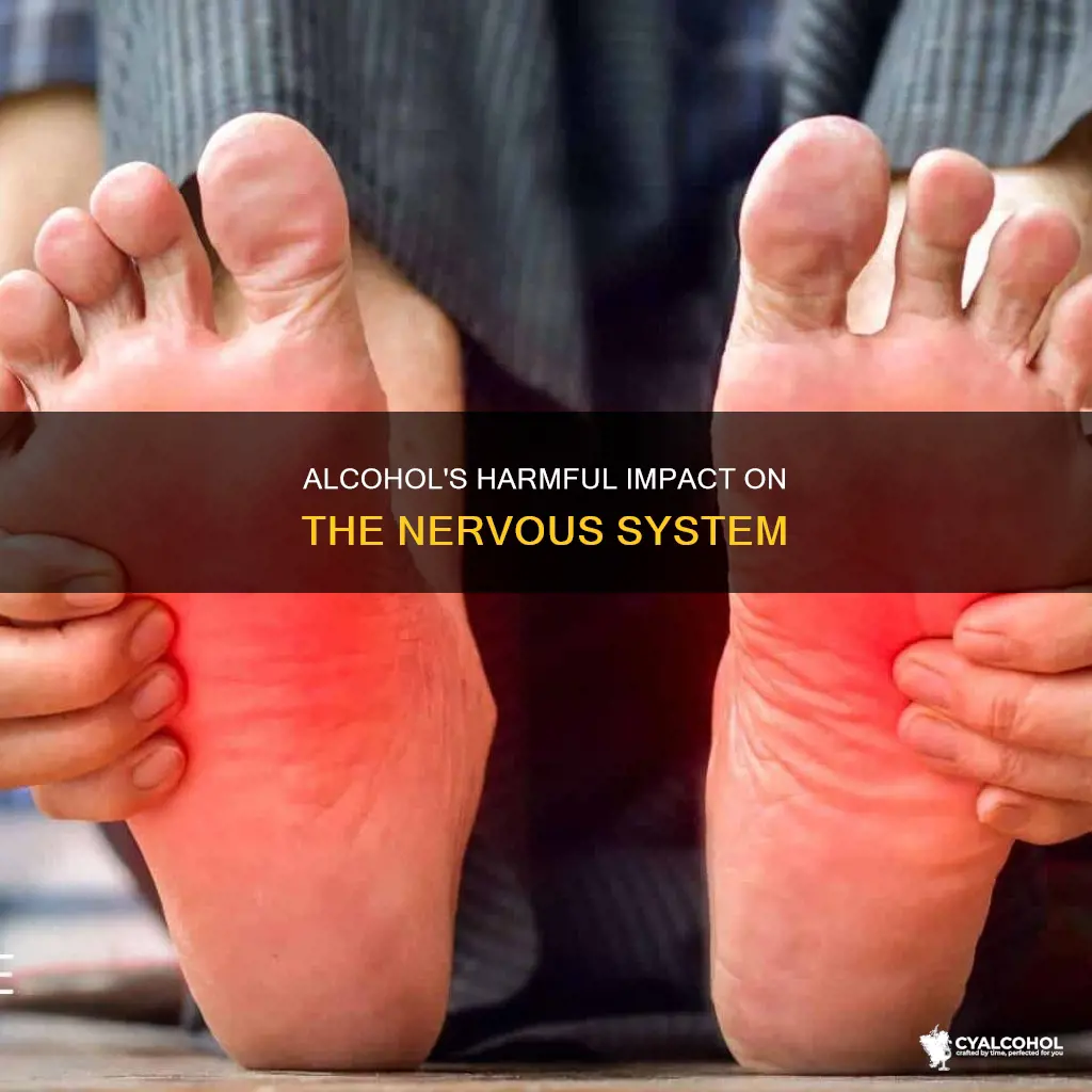 Alcohol's Harmful Impact On The Nervous System | CyAlcohol