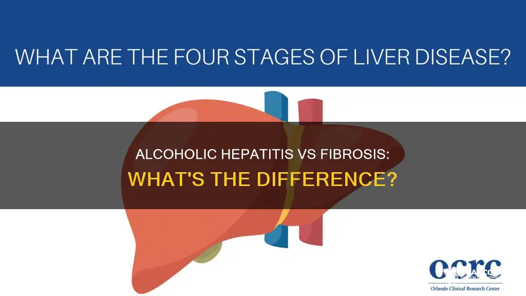 Alcoholic Hepatitis Vs Fibrosis: What's The Difference? | CyAlcohol