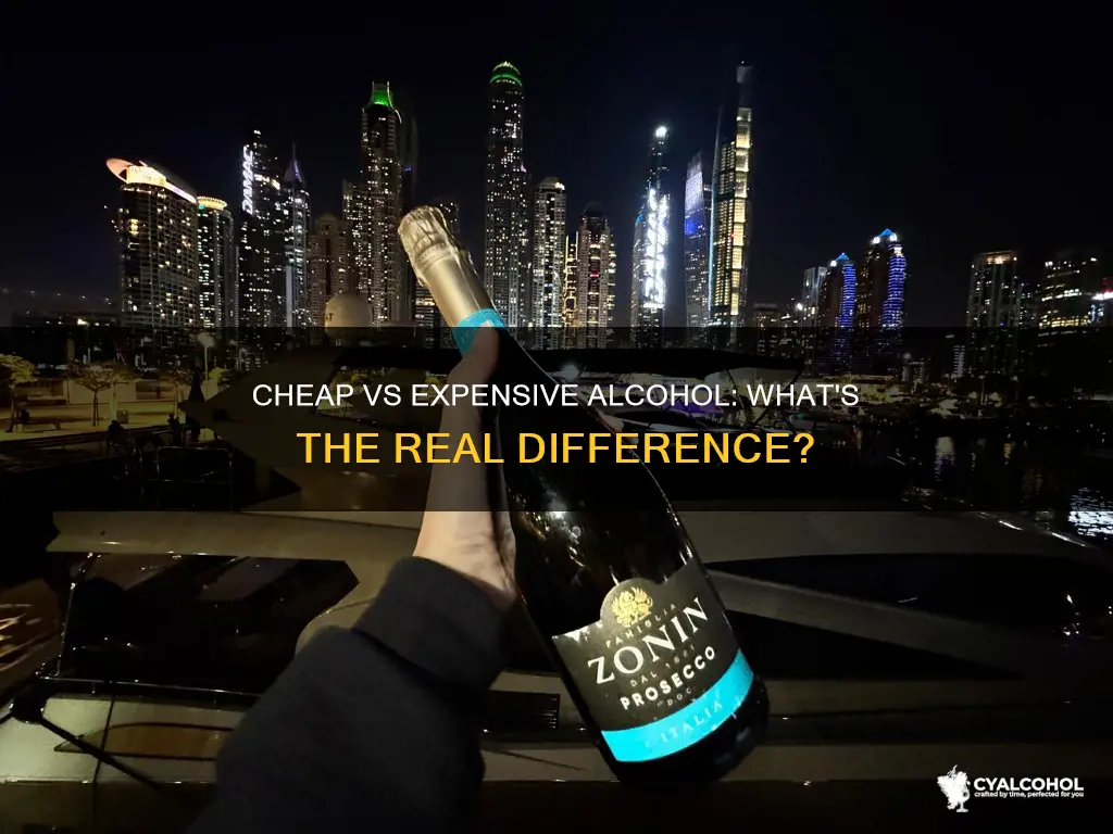 Cheap Vs Expensive Alcohol: What's The Real Difference? | CyAlcohol