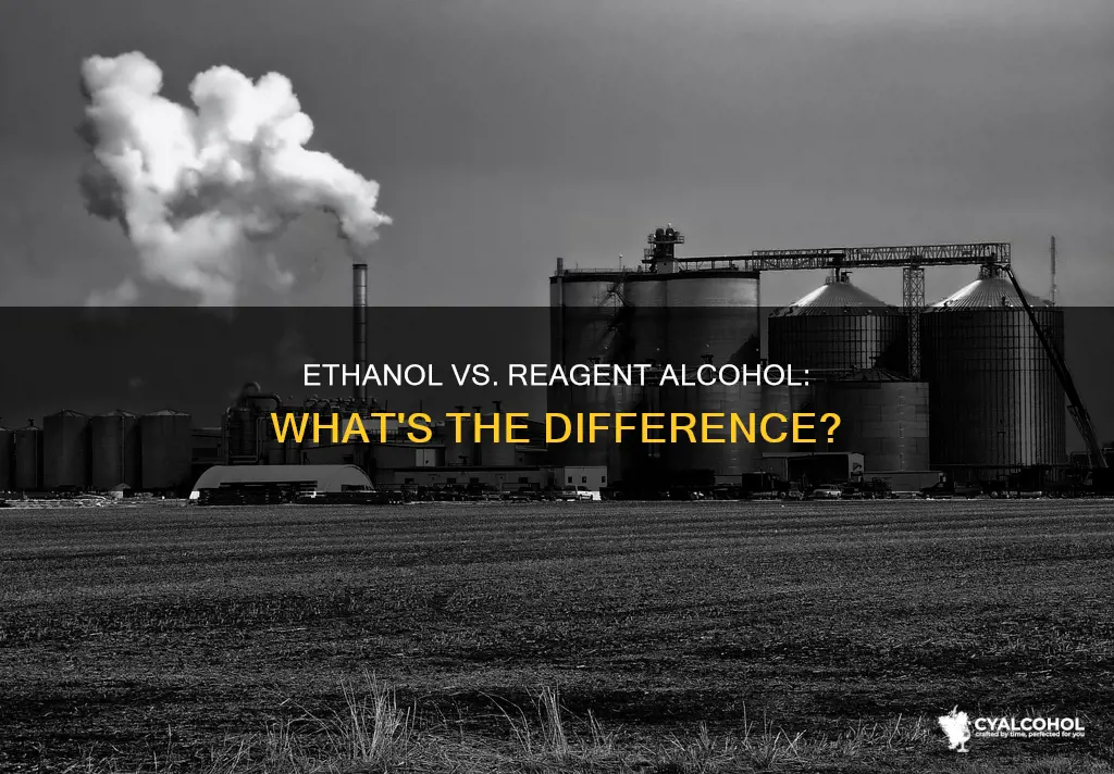 Ethanol Vs. Reagent Alcohol: What's The Difference? | CyAlcohol