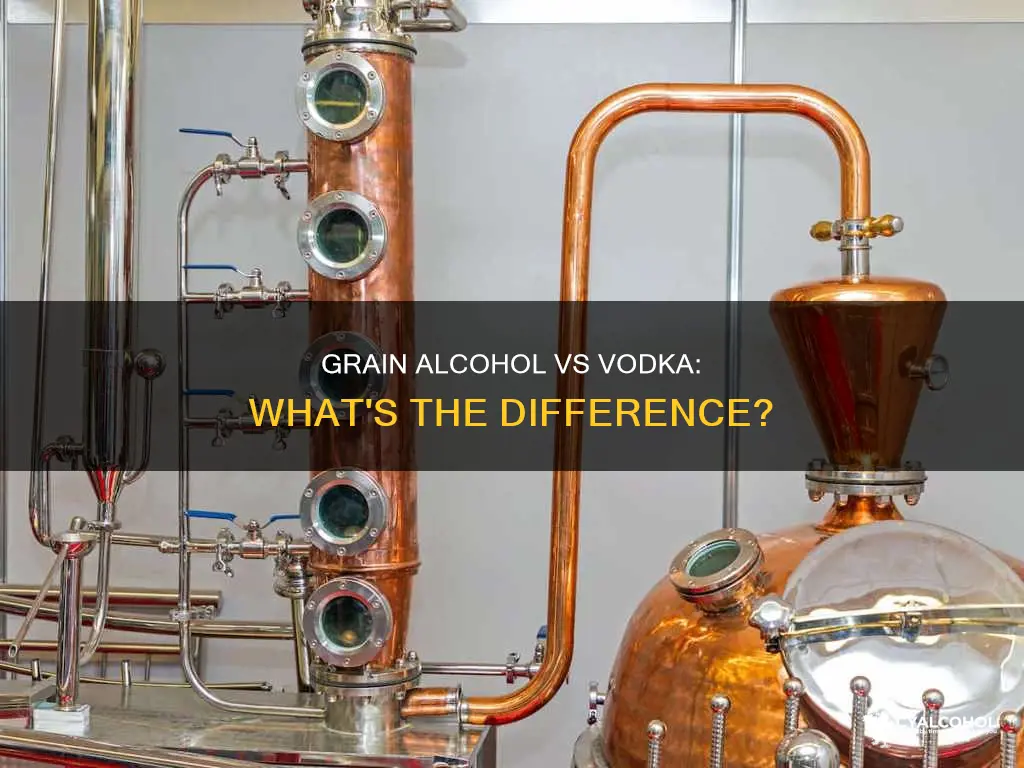 Grain Alcohol Vs Vodka: What's The Difference? | CyAlcohol