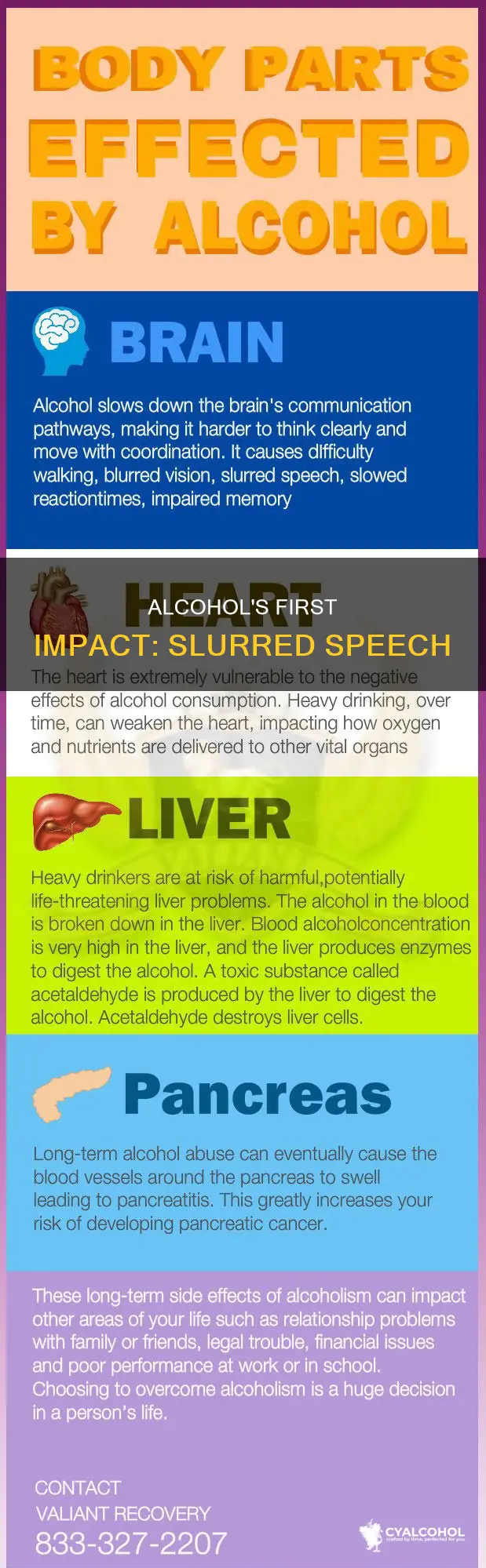 Alcohol's First Impact: Slurred Speech | CyAlcohol