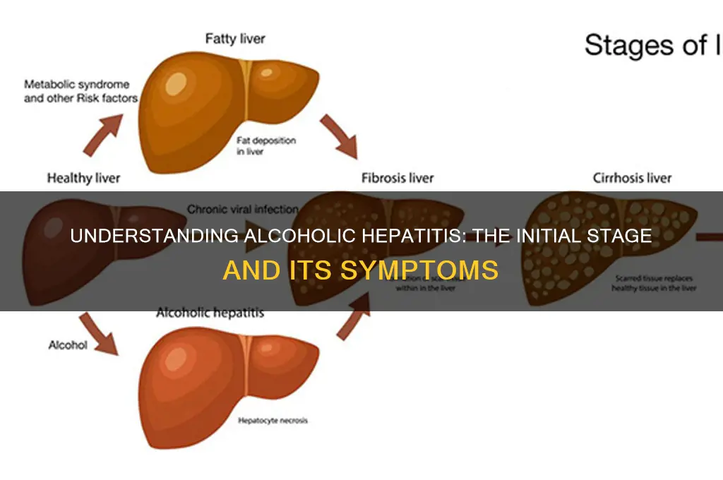 Understanding Alcoholic Hepatitis: The Initial Stage And Its Symptoms ...